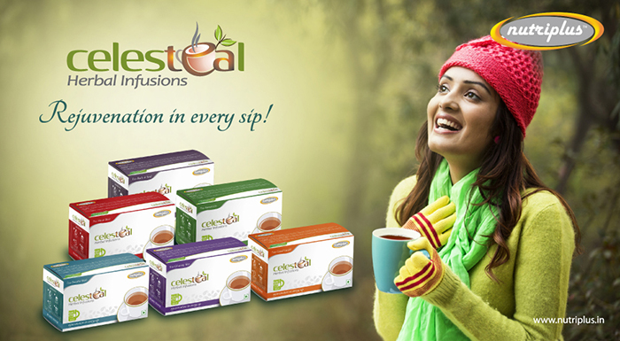 NUTRIPLUS SUGAR FREE COMBO